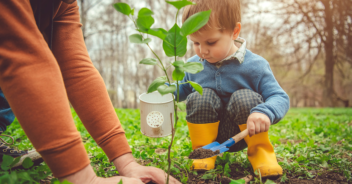 Planting a Tree to Celebrate Earth Day | AMA