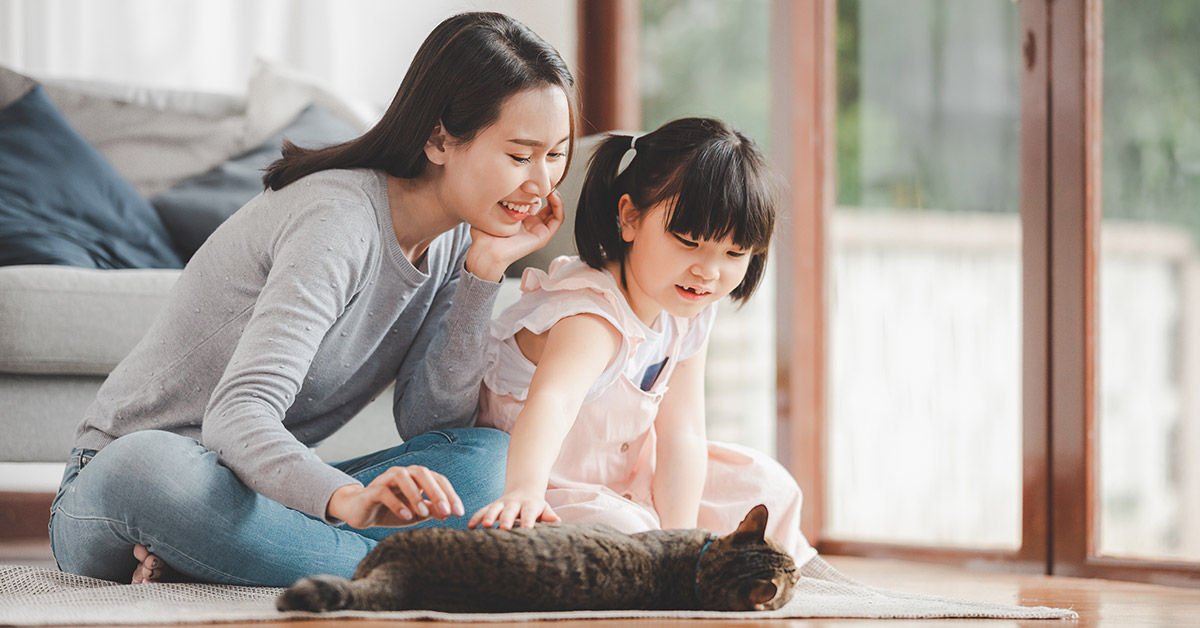 Keeping Your Cats and Kids Safe Together | AMA