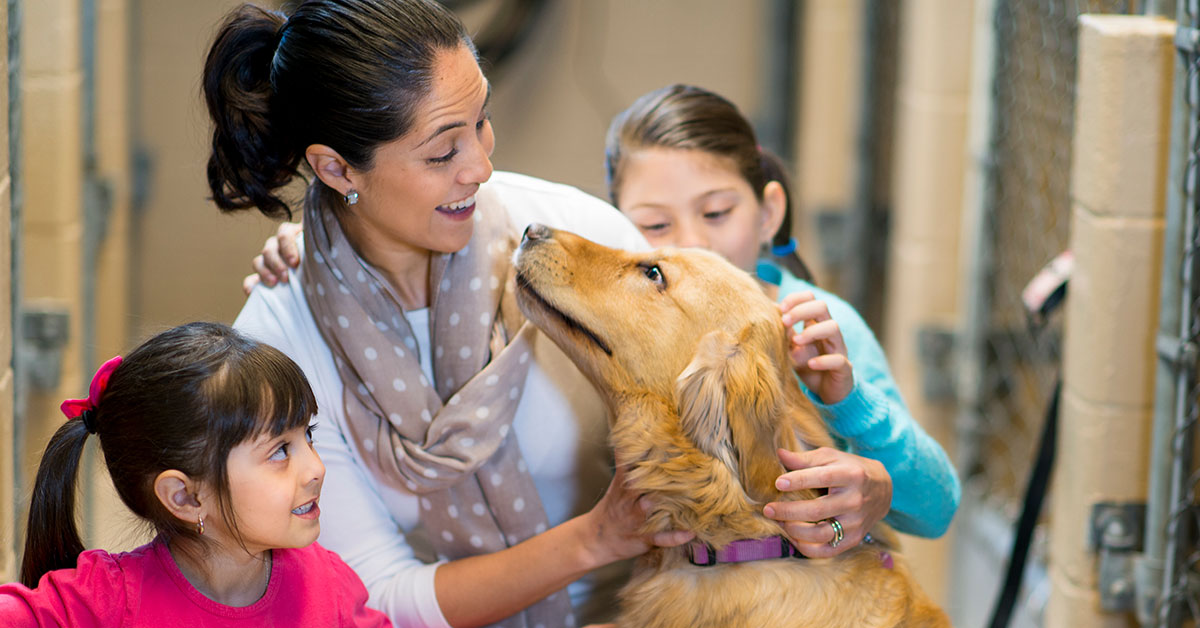 Mindful Pet Adoption - Tips to Help You Adopt a Healthy Pet | AMA