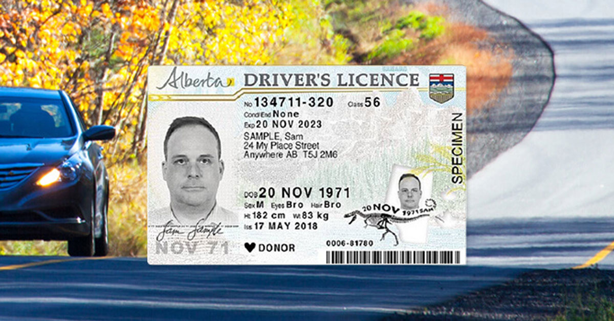 Alberta Driver s Licence Renewal AMA