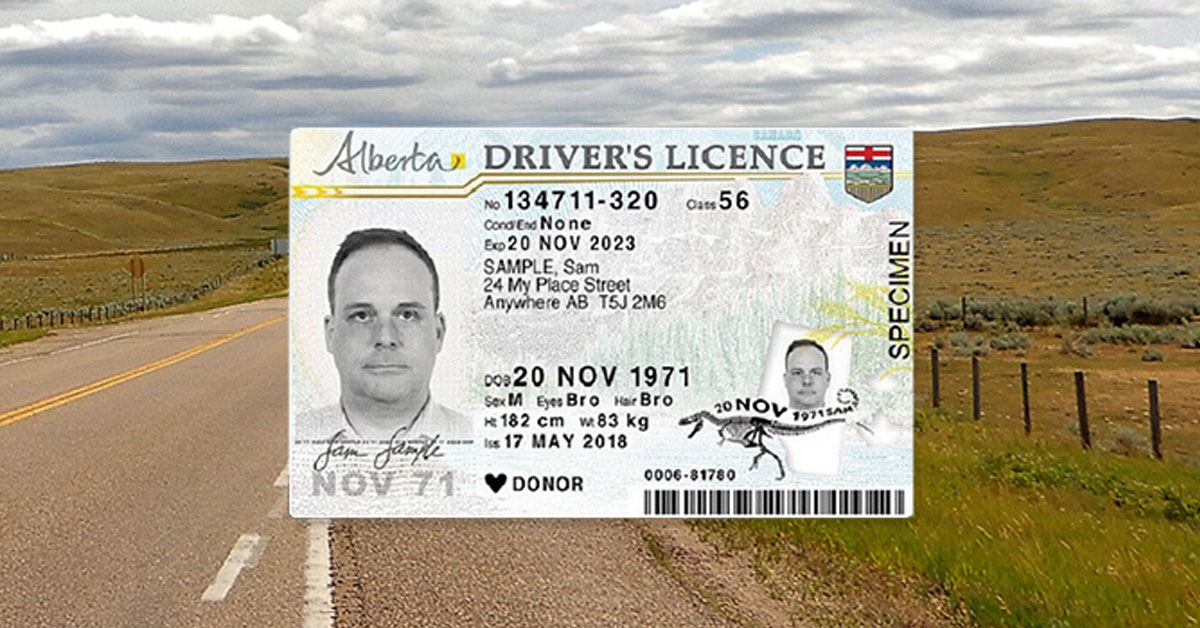 replace-a-lost-or-stolen-alberta-driver-s-licence-ama