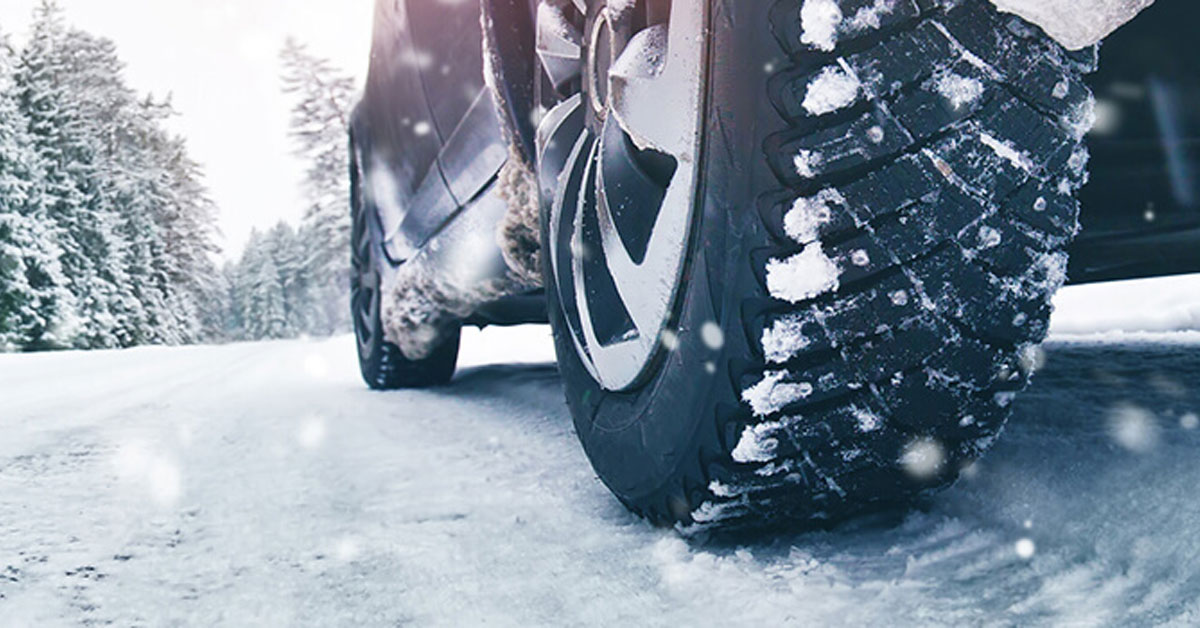 Professional Driver Training Courses | AMA