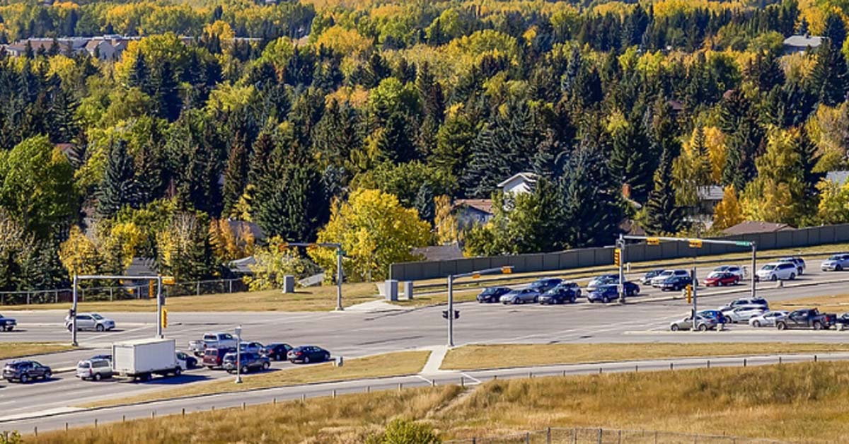 Professional Driver Training Instructors | AMA